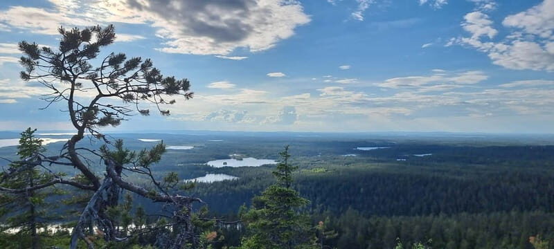 Finnish Lapland: Midnight Sun Hike in Riisitunturi np - The Experience at the Summit