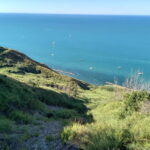 Fiorenzuola di Focara: The sea from San Bartolo, guided excursion - What Makes This Tour Stand Out?