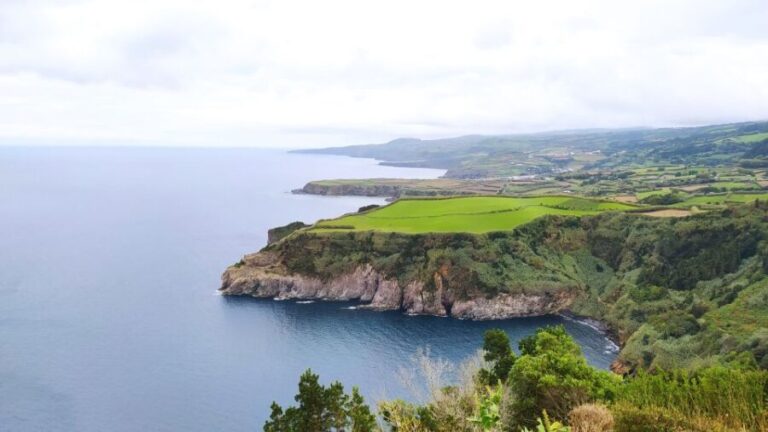 Fire Lake & Tea Factory & Pinneaple - Who Will Love This Tour?