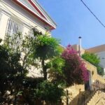 First Cemetery of Athens Walking Tour - What Travelers Say