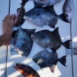 fishing charter 4h - Fishing Techniques and Species