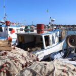 Fishing in Selinunte and lunch with cooking of the catch - Why This Tour Offers Great Value