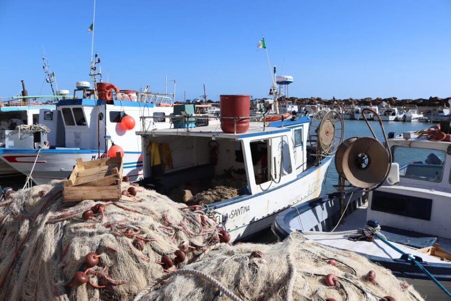 Fishing in Selinunte and lunch with cooking of the catch - Why This Tour Offers Great Value