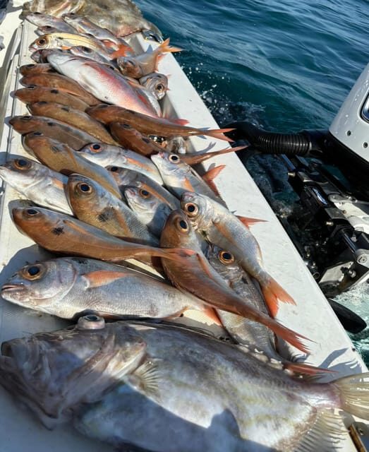 Fishing tour with midwater bolentino or rod technique. - Discovering the Local Marine Environment