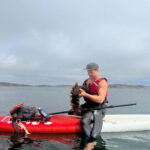 Fjällbacka: Seaweed Picking and SUP Paddling Tour - An Authentic Experience in Sweden’s Fjällbacka Archipelago
