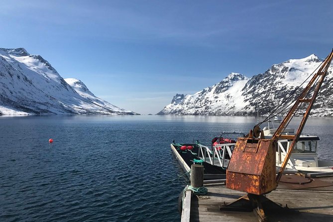 Fjord Sightseeing - Eco friendly Tesla Model X - Exploring Tromsos Fjords in Style and Sustainability