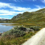Flam-Myrdal: Guided e-bike tour on the famous Rallarvegen. - The Itinerary in Detail