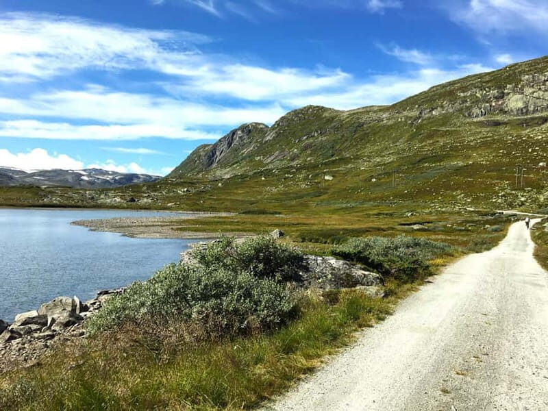 Flam-Myrdal: Guided e-bike tour on the famous Rallarvegen. - The Itinerary in Detail