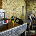 Flavors of Crete from Chania: Wine & Olive Oil Tasting Tour - What’s Worth Knowing