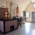 Flavors of Santorini - Overview of the Experience