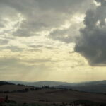 Florence: Analog Photography Tour - Who Will Love This Tour?