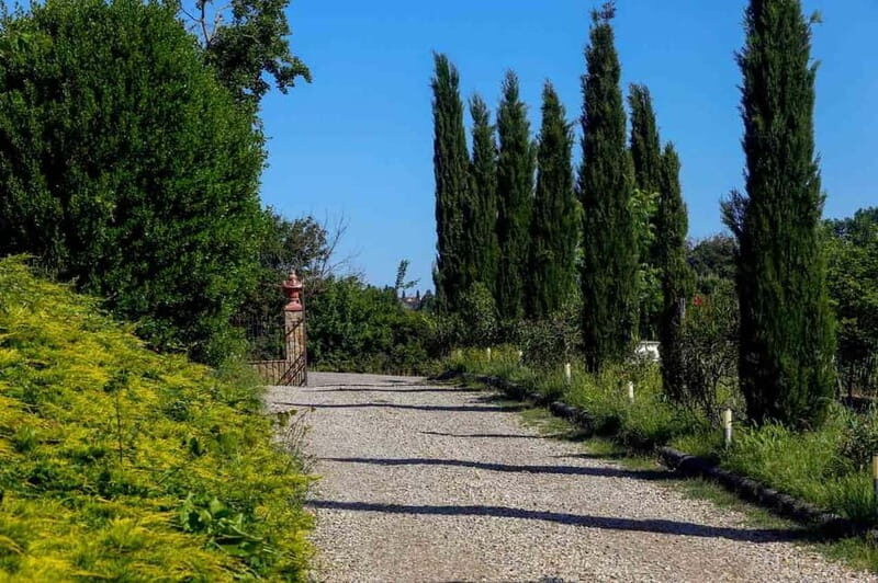 Florence by E-Bike: Hidden Hills & Local Thrills - A Detailed Breakdown of the Itinerary
