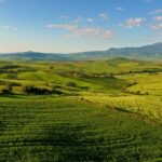 Florence: Chianti, Montalcino & Montepulciano Private Tour - What the Experience Includes and Its Value