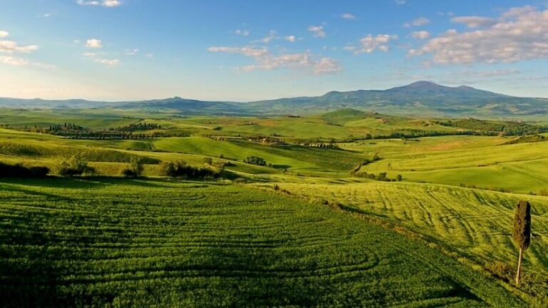 Florence: Chianti, Montalcino & Montepulciano Private Tour - What the Experience Includes and Its Value