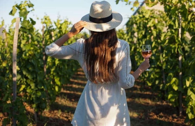 Florence: Chianti Vineyards Tour with Wine Tasting & Dinner - Visiting the Wineries