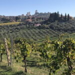 Florence Day Trip to Volterra and San Gimignano - The Experience for Different Travelers