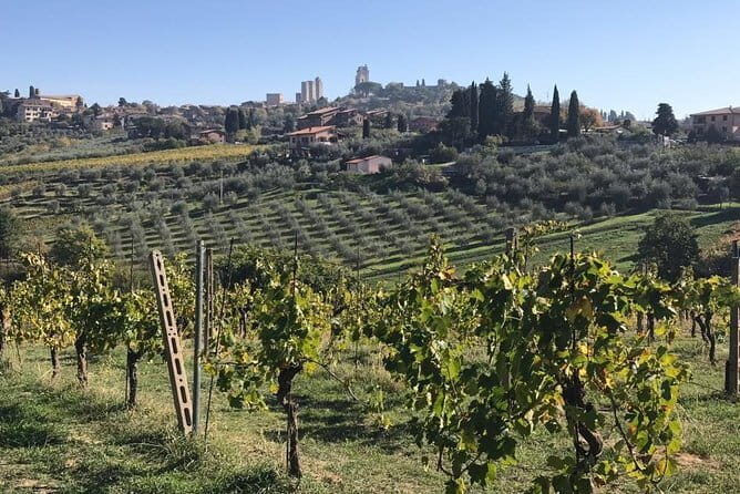 Florence Day Trip to Volterra and San Gimignano - The Experience for Different Travelers