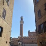Florence: Day Trip with Free Time in San Gimignano and Siena - The Value of This Tour