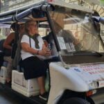 Florence: Eco-Friendly Panoramic Tour in Electric Golf Cart - Authentic Traveler Insights