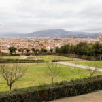 Florence: Entrance Ticket to Pitti Palace + Audio App - What You Can Expect: The Practicalities