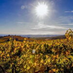 Florence: Explore Chianti by Vintage Car with Wine Tasting - The Experience’s Unique Touches
