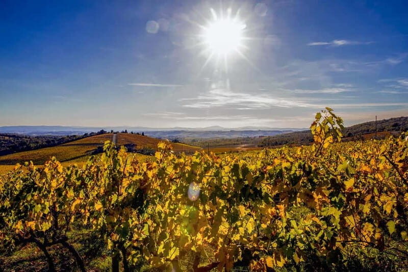 Florence: Explore Chianti by Vintage Car with Wine Tasting - The Experience’s Unique Touches