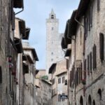 Florence: Full-Day Private Tour of Chianti and San Gimignano - Who Will Enjoy This Tour?