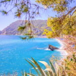 Florence: Full day Tour to Cinque Terre and Pisa - The Experience: What’s Included and What’s Not