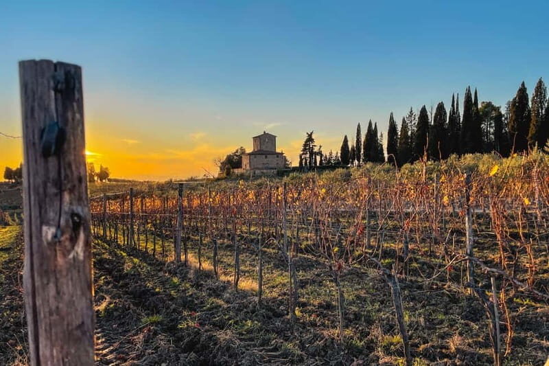 Florence: Hiking Tuscany & Chianti wine 3 wineries and lunch - Exploring the Beauty of Tuscany on Foot and by Car