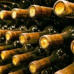 Florence: History Walking Tour with Wine Tasting - Who Will Enjoy This Tour?