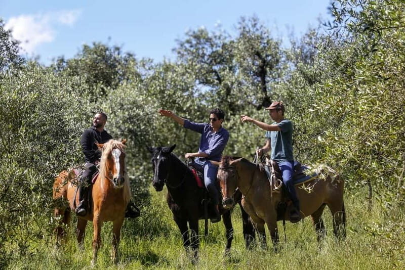Florence: Horseback Riding & Aperitivo in the Chianti - Authentic Experiences, Not Just a Tourist Trap