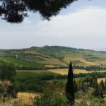 Florence: Montepulciano, Pienza, & Montalcino Private Trip - The Practicalities and Logistics