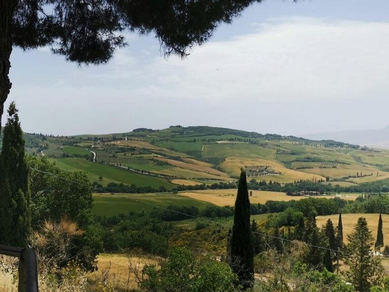 Florence: Montepulciano, Pienza, & Montalcino Private Trip - The Practicalities and Logistics
