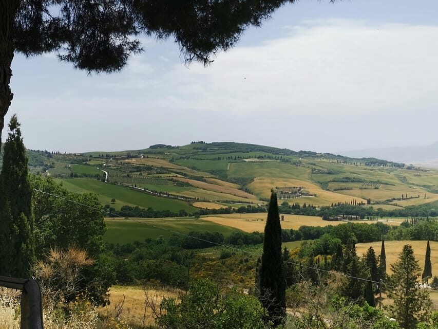 Florence: Montepulciano, Pienza, & Montalcino Private Trip - The Practicalities and Logistics