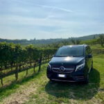Florence: Montepulciano&Chianti in 1 day + Lunch & Transfer - Exploring Tuscany in a Day: What to Expect
