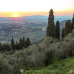Florence: Panoramic Tour to Fiesole and Michelangelo Square - The Value of a Private, Short Tour