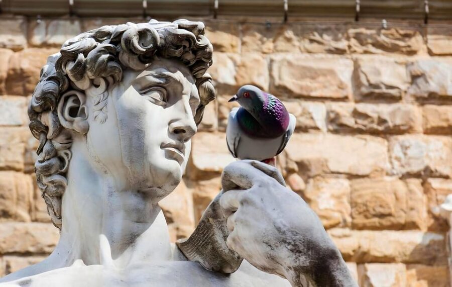 Florence: Piazza della Signoria & David - Anti Walking Tour - The Itinerary: What You Can Expect