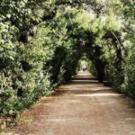 Florence: Pitti Palace, Boboli Garden, Palatine Gallery Tour - Who Will Love This Tour?