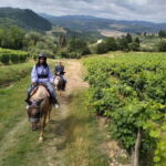 Florence Private Chianti Horseback Ride Wine Tasting + Lunch - What Travelers Say
