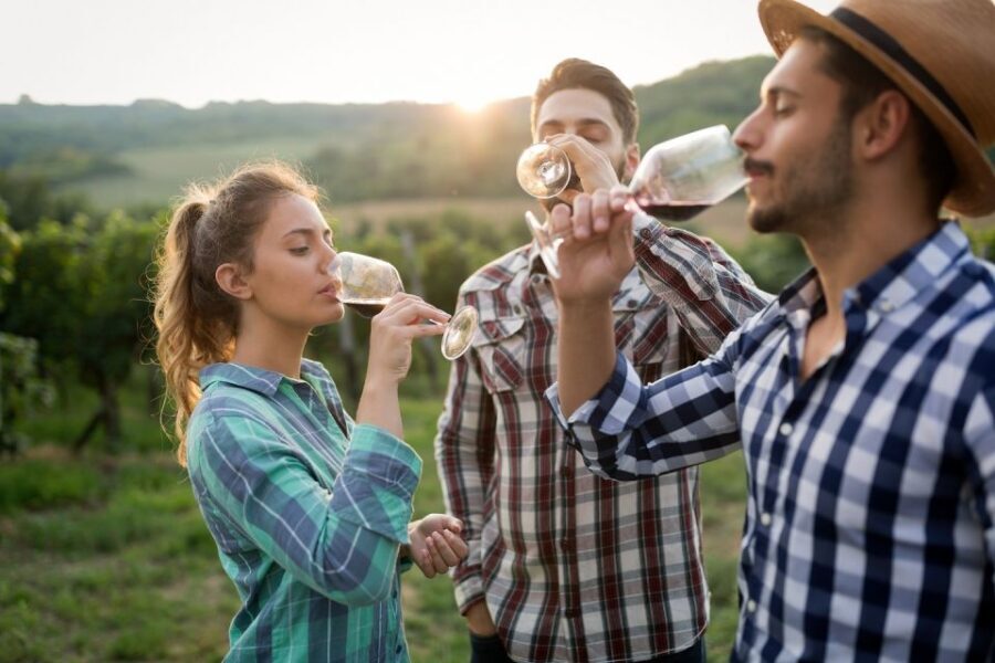Florence: Private full day tour to Chianti Wine Region - The Itinerary Breakdown
