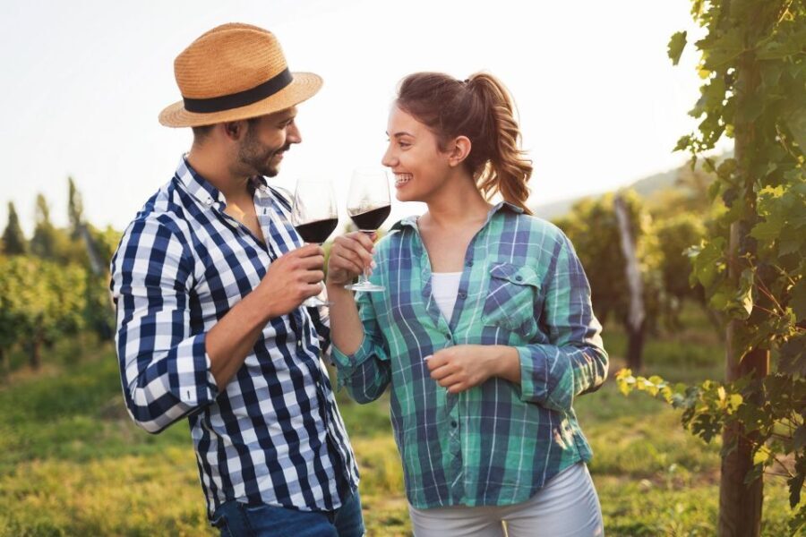 Florence: Private Half-Day Chianti Tour - The Practicalities: What to Expect