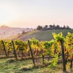 Florence: Siena & San Gimignano Day Trip with Lunch & Wine - The Value of This Tour
