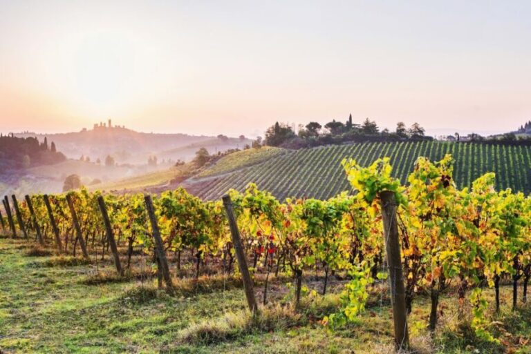 Florence: Siena & San Gimignano Day Trip with Lunch & Wine - The Value of This Tour