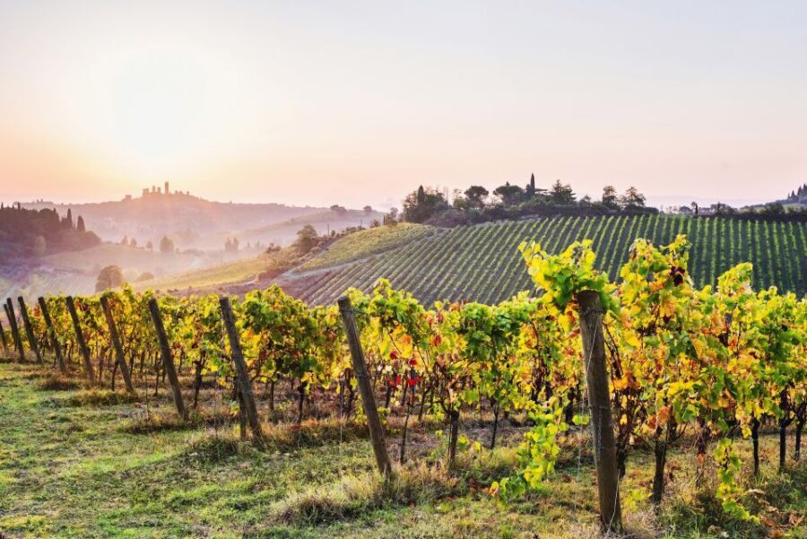 Florence: Siena & San Gimignano Day Trip with Lunch & Wine - The Value of This Tour