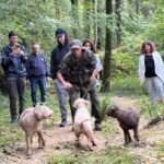 Florence: Truffle Hunt, San Gimignano, and Chianti Day Trip - How This Tour Balances Content and Value