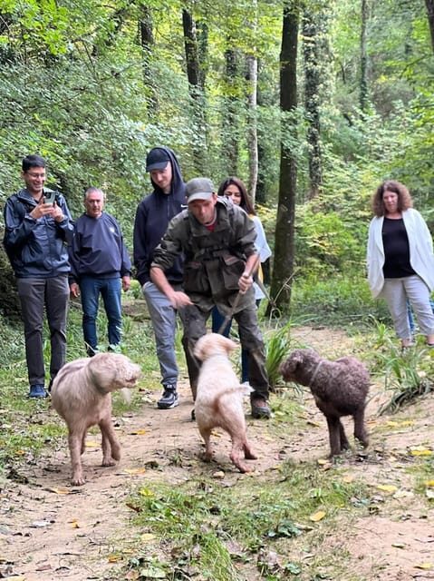 Florence: Truffle Hunt, San Gimignano, and Chianti Day Trip - How This Tour Balances Content and Value