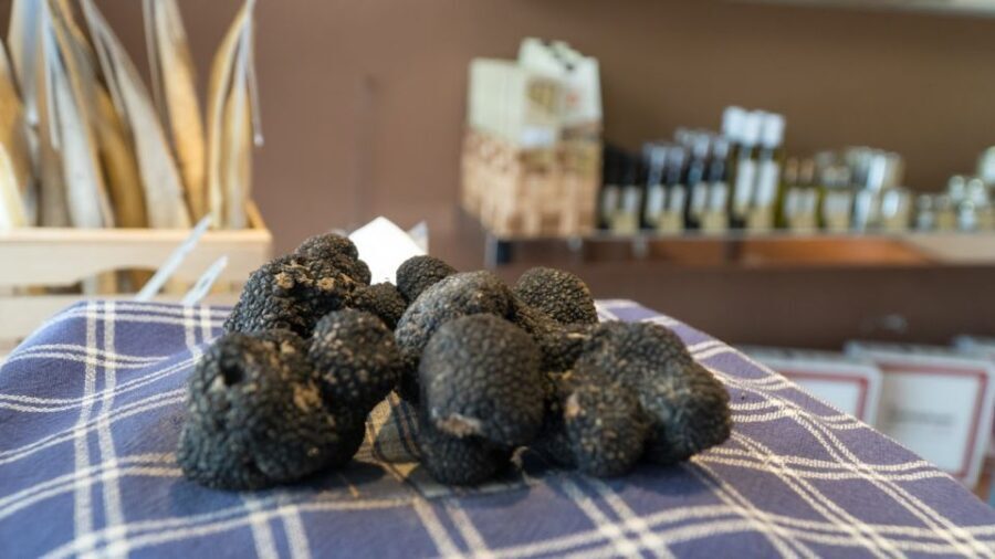 Florence: Truffle Hunting and Vinci with Lunch and Winery - Practical Details & Value Considerations