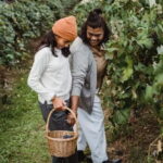 Florence: Tuscan Grape Stomping, Lunch and Wine Tasting - The Vineyard: Grape Harvesting and Grape Stomping
