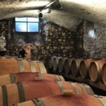 Florence: Tuscany Chianti Winery Private Day-Trip with Lunch - Exploring the Heart of Tuscany: What You Can Expect