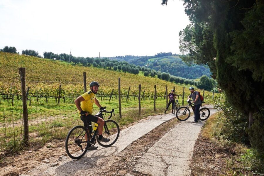 Florence: Tuscany Countryside Guided E-Bike Tour with Lunch - The Taste of Tuscany: Lunch and Tastings